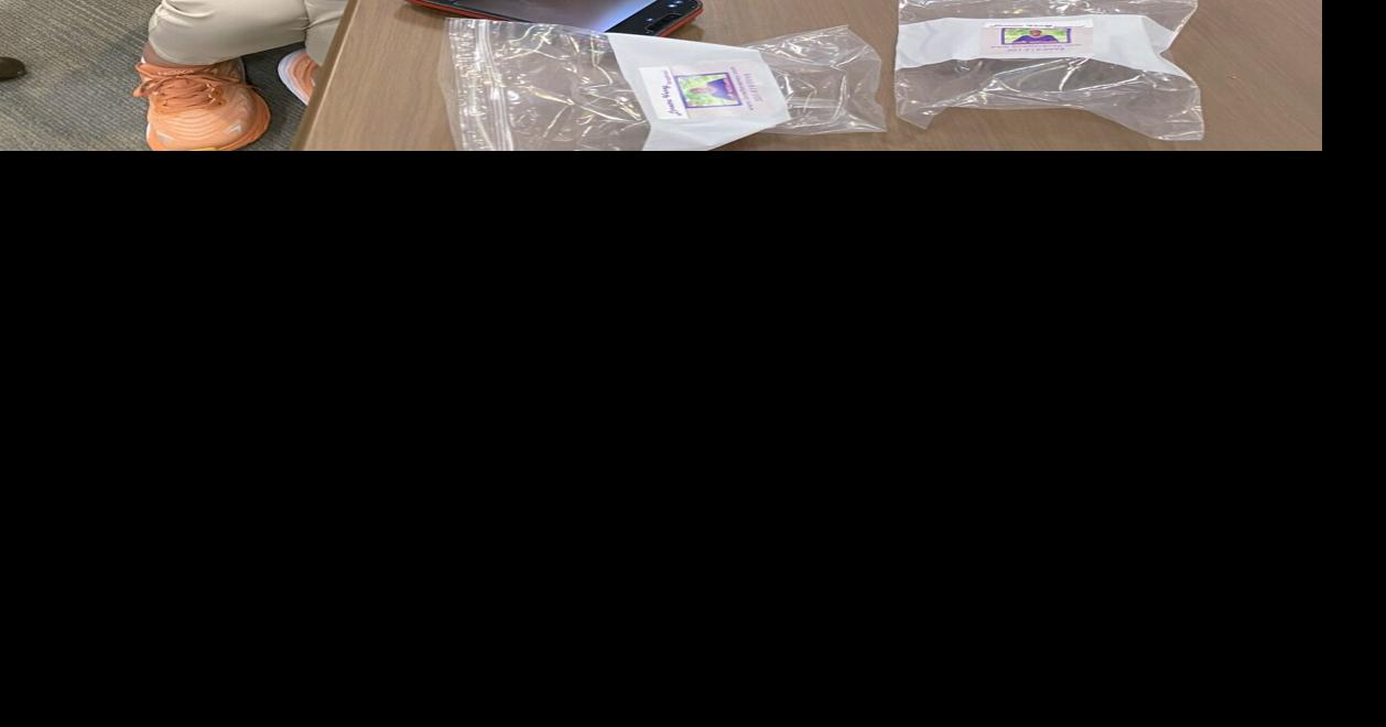 Lego Serious Play helps caregivers connect with seniors | Lifestyles ...