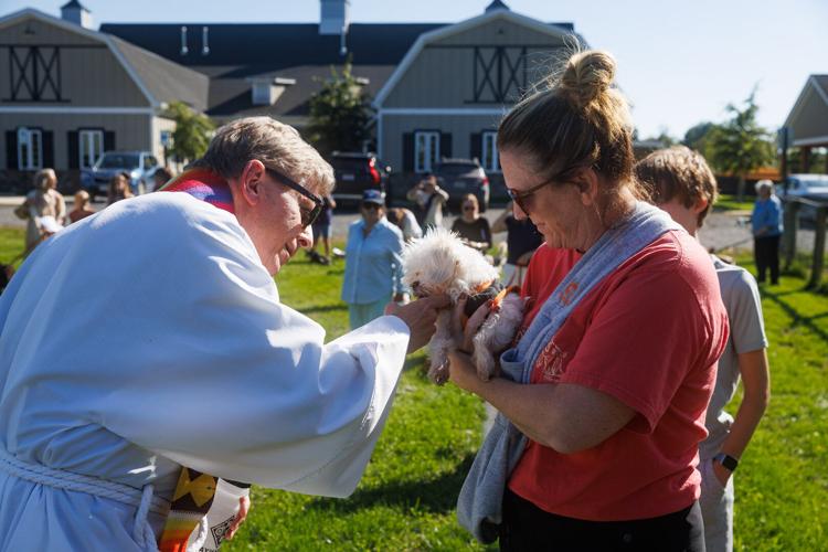 IN PHOTOS: Blessing the animals in Marshall | Headlines | insidenova.com