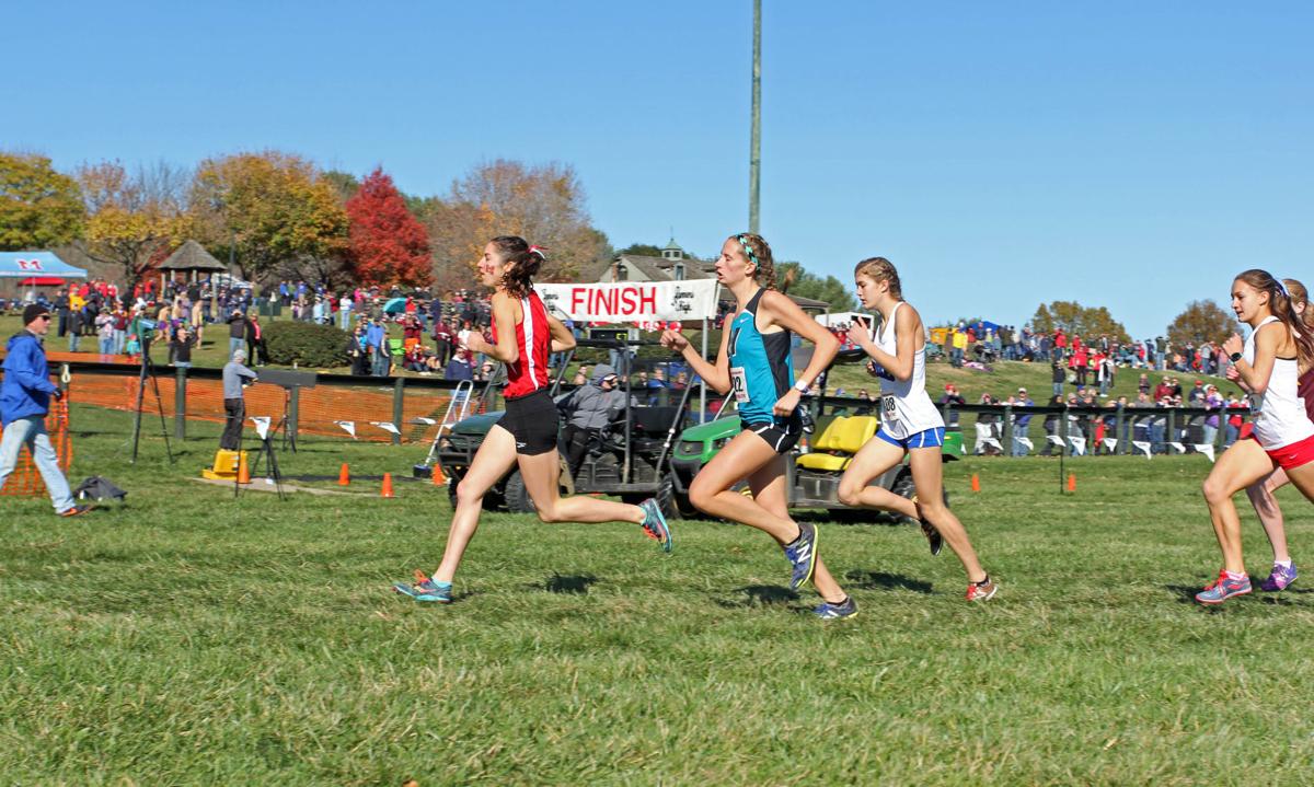 PHOTOS: State cross country roundup | Sports | insidenova.com