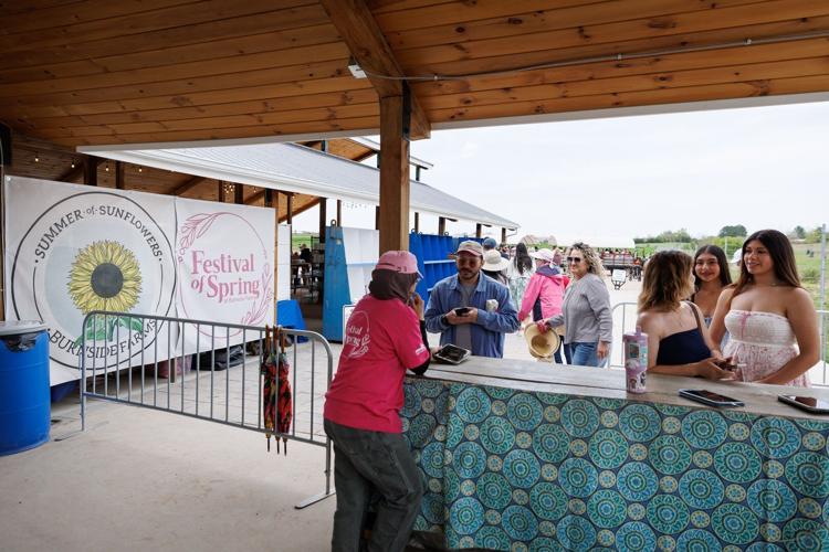 IN PHOTOS: A stunning spring scene at Burnside Farms in Nokesville ...