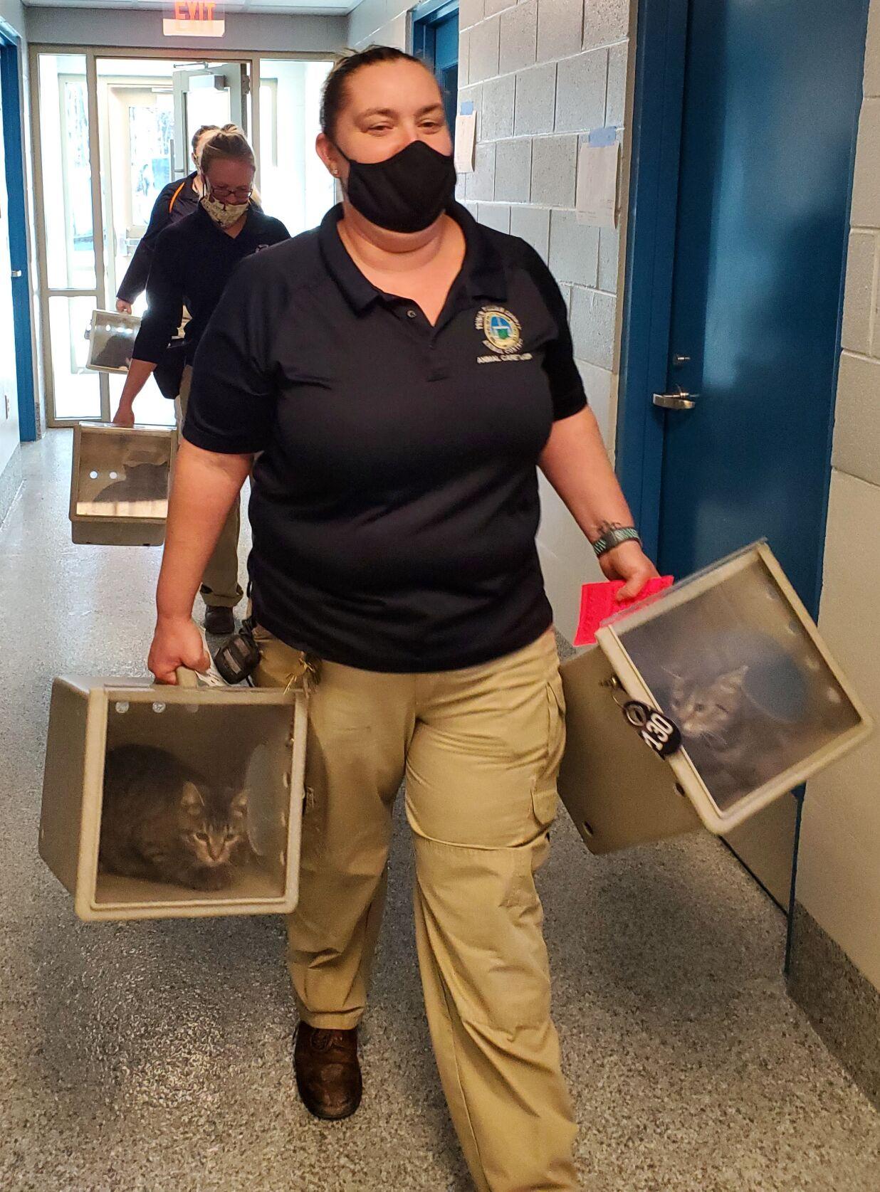 New Prince William animal shelter begins to open | Headlines ...