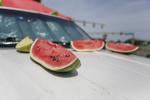 The Watermelon Man: N.C. farmer popular, but something of a mystery ...