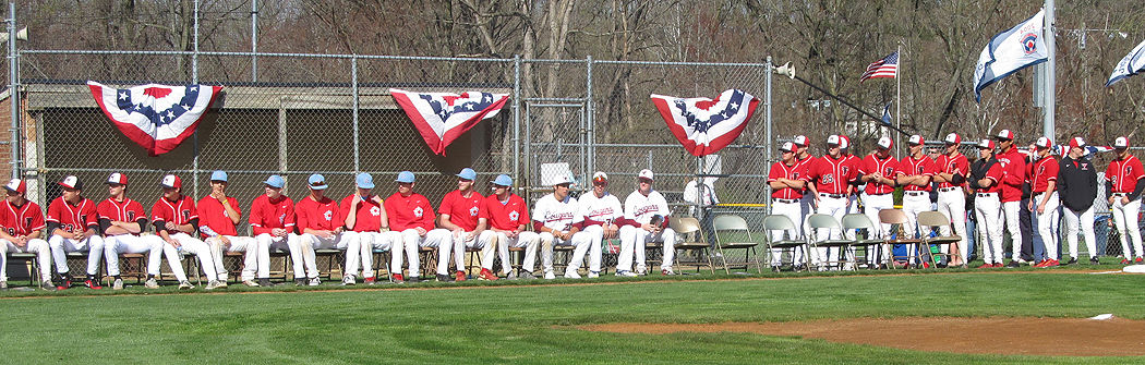 Vienna Little League Opening Day | Baseball | insidenova.com