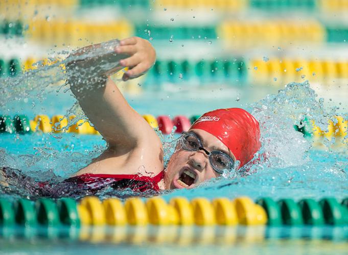 Swimming slideshow: Donaldson Run loses opening meet of 2016 | Sports ...