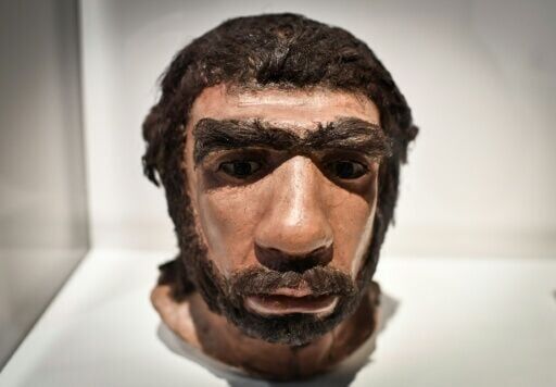 The sex lives of Neanderthal males - and human females | National ...