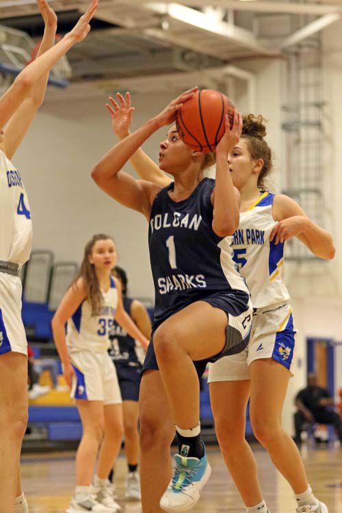 Jo Raflo records eight 3-pointers as Osbourn Park girls basketball ...
