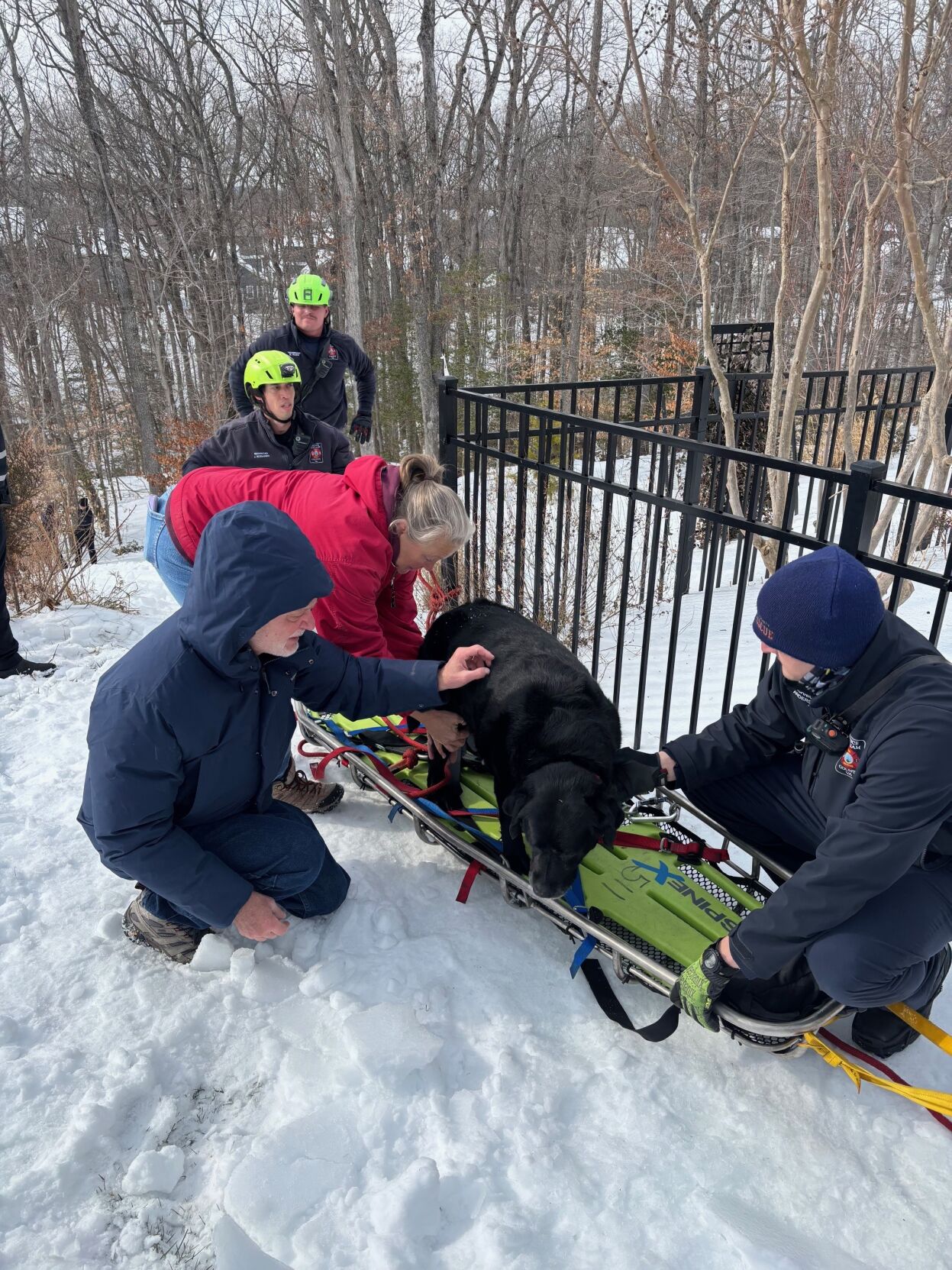 Firefighters rescue dog after slide down icy embankment | Headlines ...