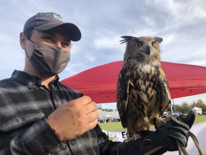 Photo gallery: Pandemic-friendly CulpeperFest | InsideNoVa Culpeper ...