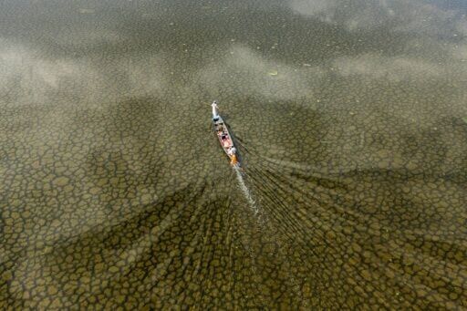 Much-needed rains revive Iraq's fabled Mesopotamian Marshes | National ...