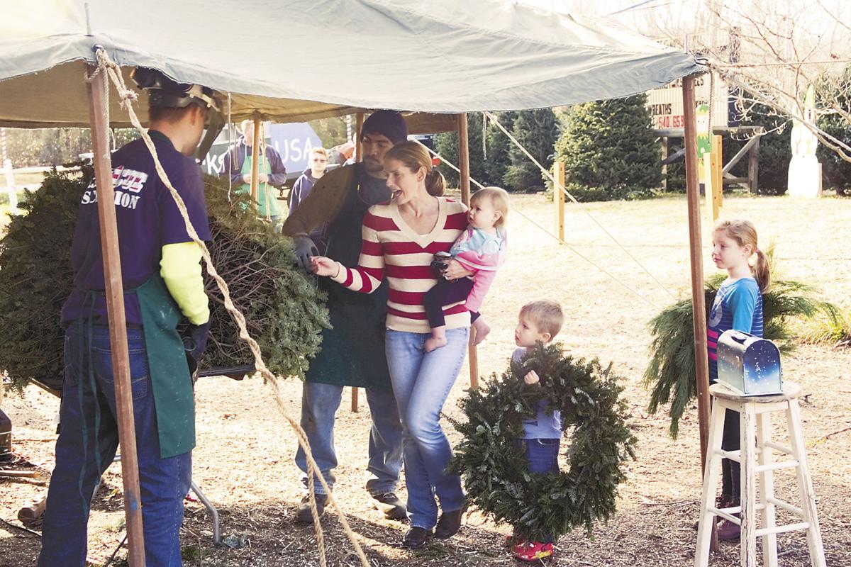 Clark’s Farm changes with the seasons | news/stafford | insidenova.com