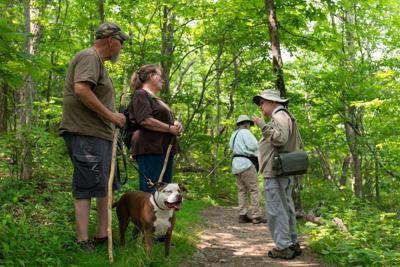 It’s a fee-free Friday in Shenandoah National Park | Headlines | insidenova.com