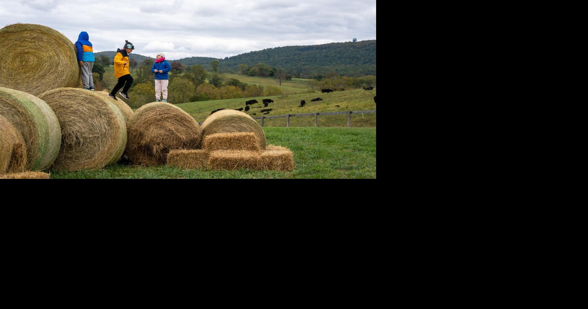 NEIGHBORS: Kinloch Farm's annual Fall Tour offers glimpse into the life ...