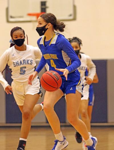 Osbourn Park-Cosby state semifinal preview capsule | Prince William ...