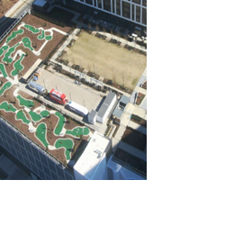 Capital One Center to preview new putt putt course during 'Perchfest ...