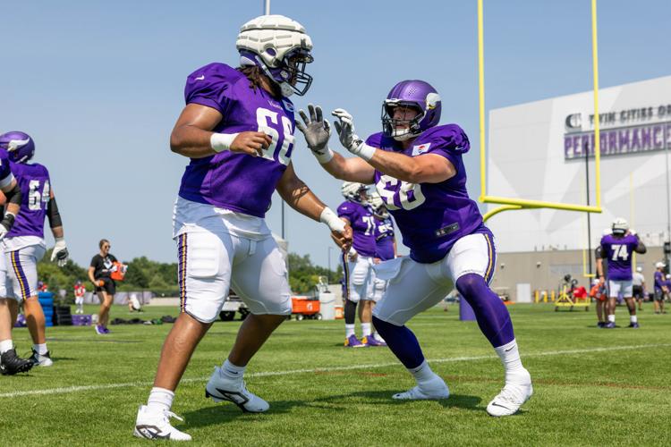 Vershon Lee signed to Minnesota Vikings' 53-man roster | Sports | insidenova.com