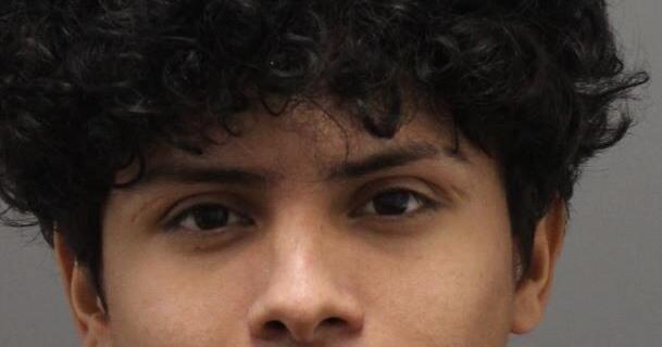 Leesburg gang member sentenced in shooting over video game | Headlines ...