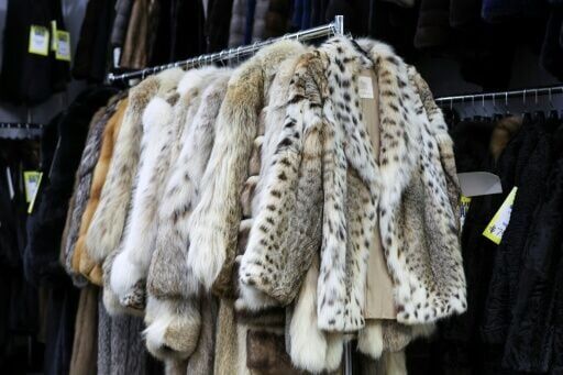 'Stigmatized' or 'sustainable'? Vintage sales boost sees fur return ...