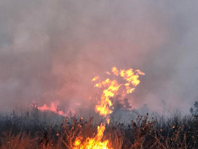 Crews battle brush fires on Quantico Marine Corps base | Headlines ...