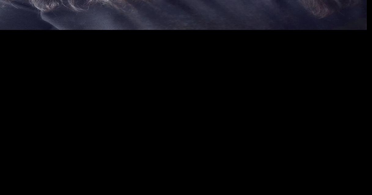 Conroy promoted to CEO of the ARTfactory in Manassas | Lifestyles ...