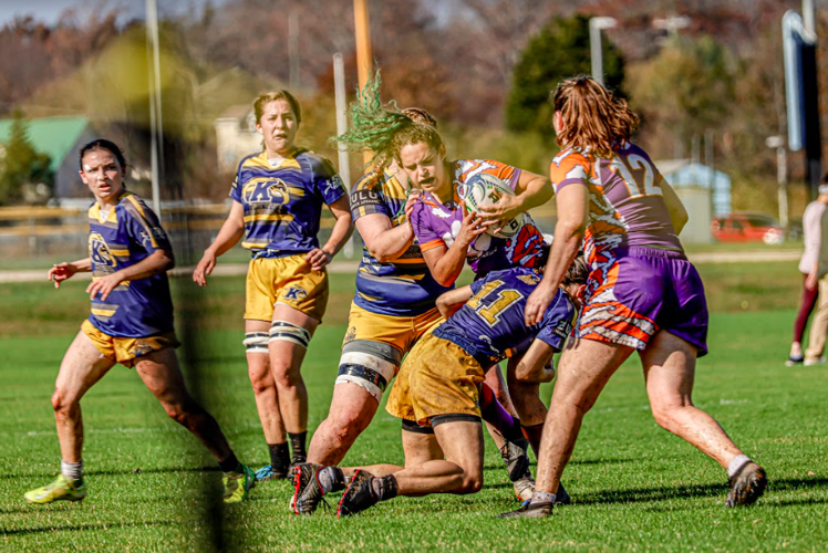 PHOTOS: National Collegiate Rugby at the Culpeper Sports Complex ...