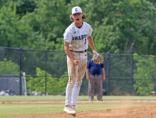 Another Herndon walk-off win ends Colgan’s baseball season in the state ...