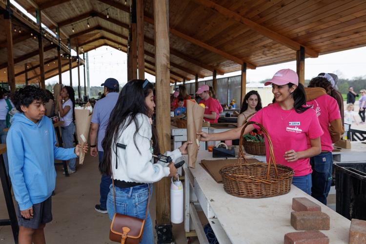IN PHOTOS: A stunning spring scene at Burnside Farms in Nokesville ...