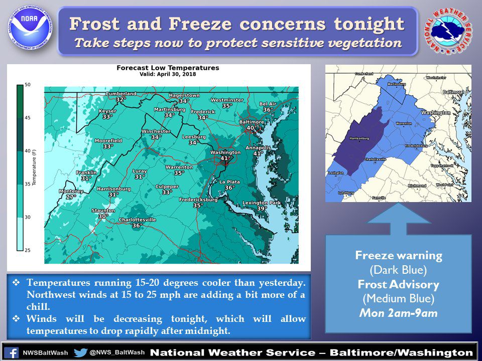 Frost and fire threat Monday in Northern Virginia | News | insidenova.com