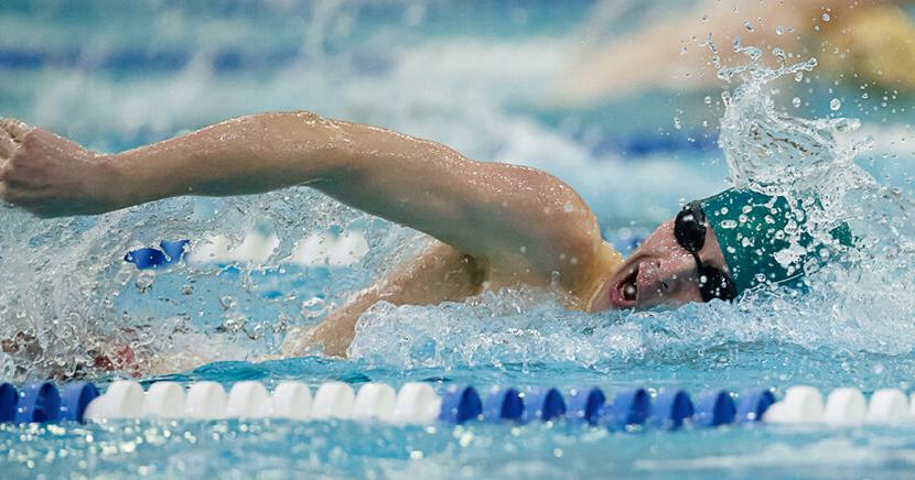 Arlington swim and dive roundup | Sports | insidenova.com