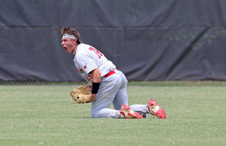 IN PHOTOS: Gainesville baseball holds off West Springfield | Sports ...