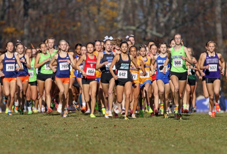 Colonial Forge's Loescher wins state cross country title | Headlines ...
