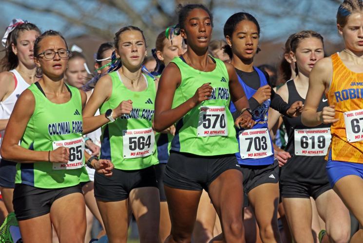 Colonial Forge's Loescher wins state cross country title | Headlines ...