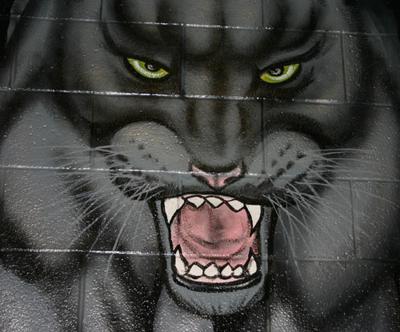 Potomac High School to celebrate renovations at community day ...