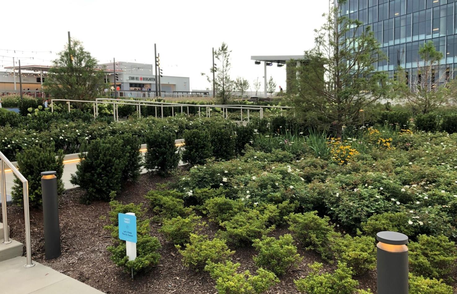 Sneak Peek: The Perch opens in Tysons | Headlines | insidenova.com