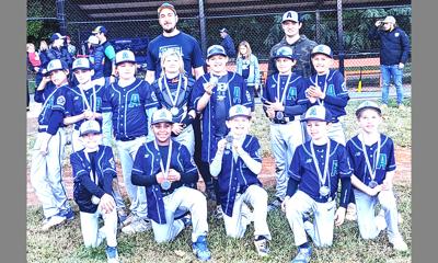 Arsenal White takes second in fall baseball classic | Sports ...