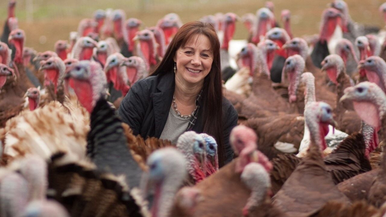 Sandy Lerner selling 600 acres of her historic Ayrshire Farm | Loudoun ...