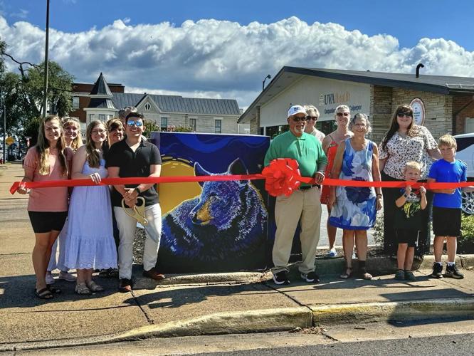 CRI announces completion of power box mural program in Culpeper ...
