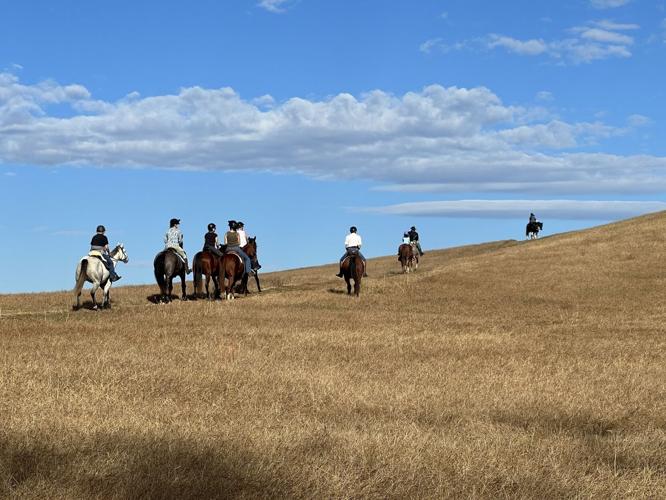 Brandy Station history ride draws area equestrians | InsideNoVa ...