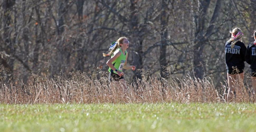 Colonial Forge's Loescher wins state cross country title | Headlines ...