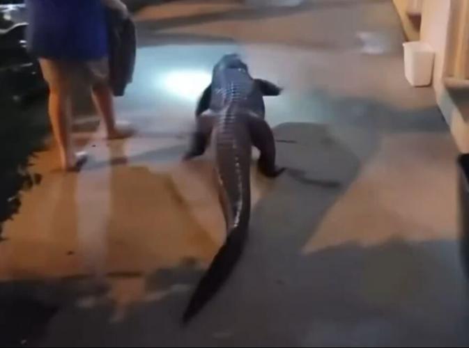 These were InsideNoVa's most-read stories of 2025 | Headlines ...