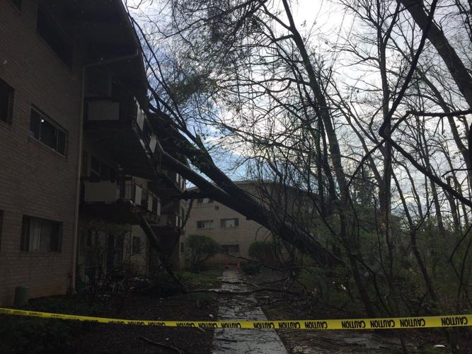 Storm damage across Northern Virginia Thursday | Headlines | insidenova.com