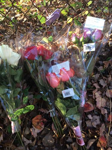 PHOTOS: Brenden Wilson, 16, slain near his high school | Multimedia ...