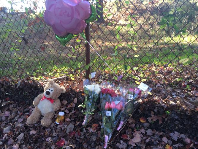 PHOTOS: Brenden Wilson, 16, slain near his high school | Multimedia ...