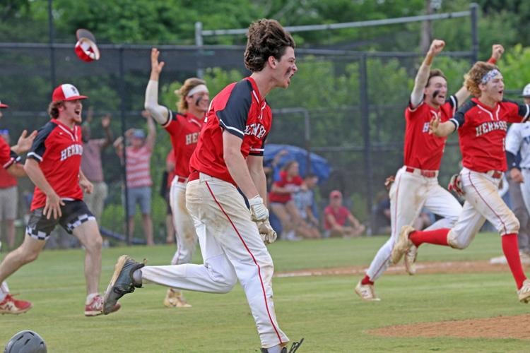 Another Herndon walk-off win ends Colgan’s baseball season in the state ...