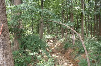 Stormwater-restoration set for Nottoway Park | news/fairfax ...