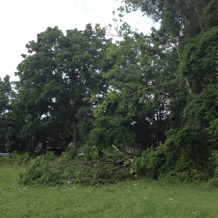 Your Photos Severe Storms Rip Through Northern Virginia Multimedia