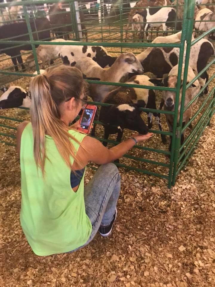 Prince William County Fair leaves memories | Manassas | insidenova.com