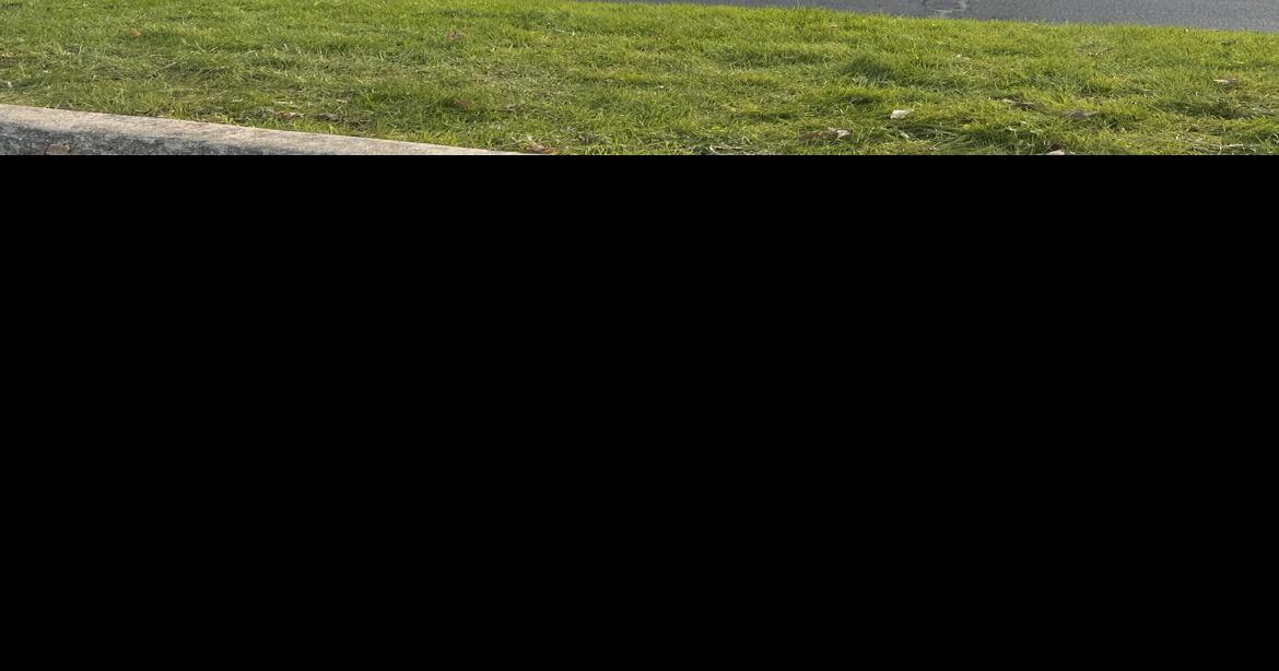 Redevelopment plans on hold at old water treatment plant