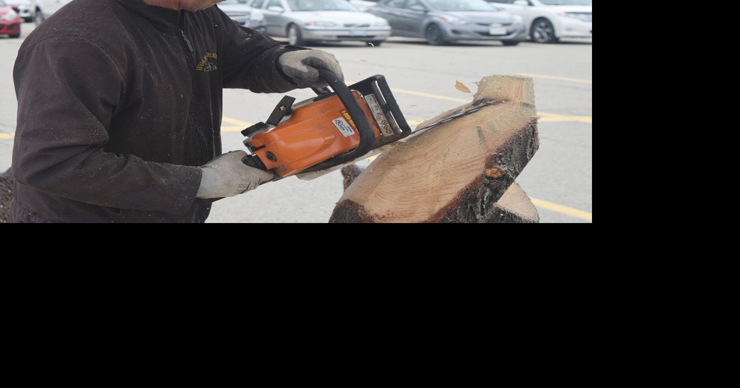 Chip off the old block: Wood carver brings chainsaw marvels to Smiths ...
