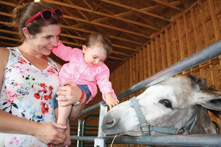 Must-visit fall fairs in Carp, Renfrew, Perth and Almonte