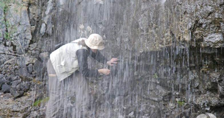 Field naturalists dig up the dirt on moss